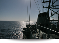 Pages - Areas of Cooperation